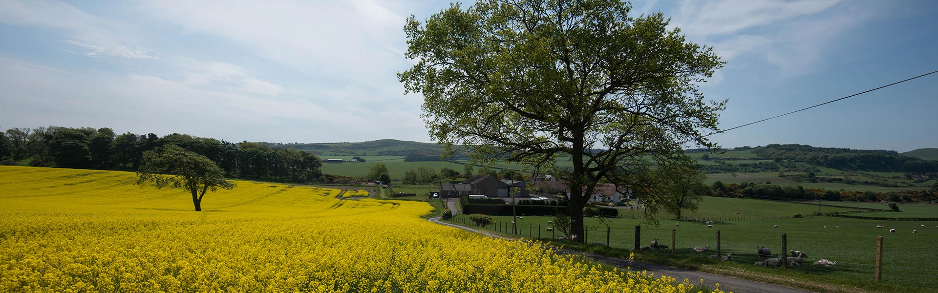 About - Parkley Farm Holiday Cottages, Linlithgow, West Lothian