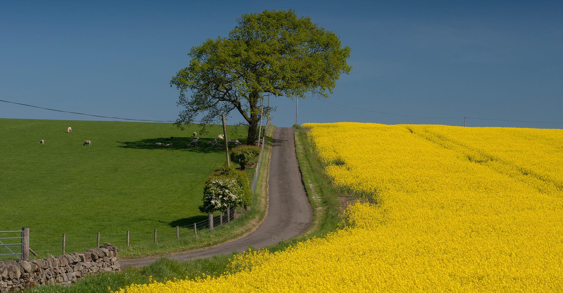Home - Parkley Farm Holiday Cottages, Linlithgow, West Lothian